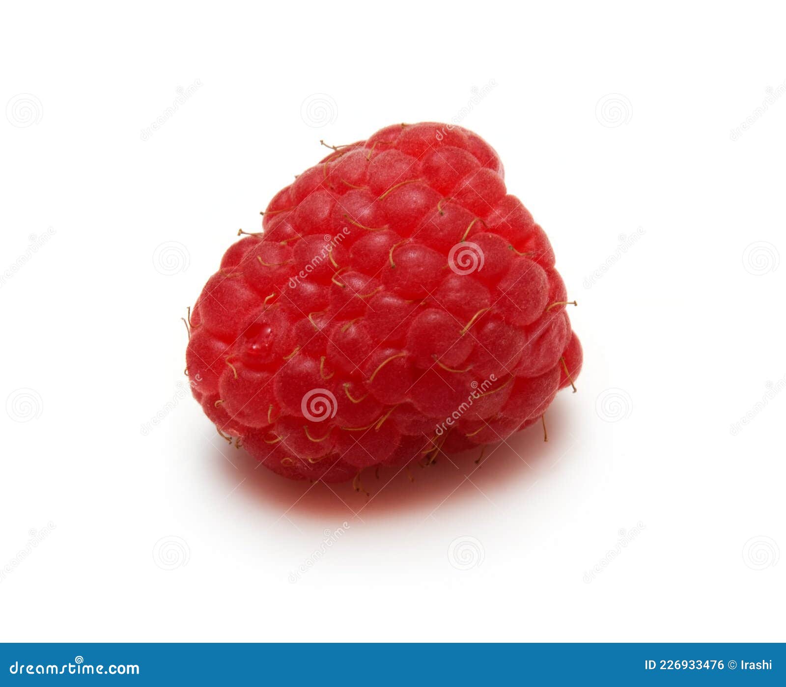 Red raspberry berry stock photo. Image of leaf, background - 226933476