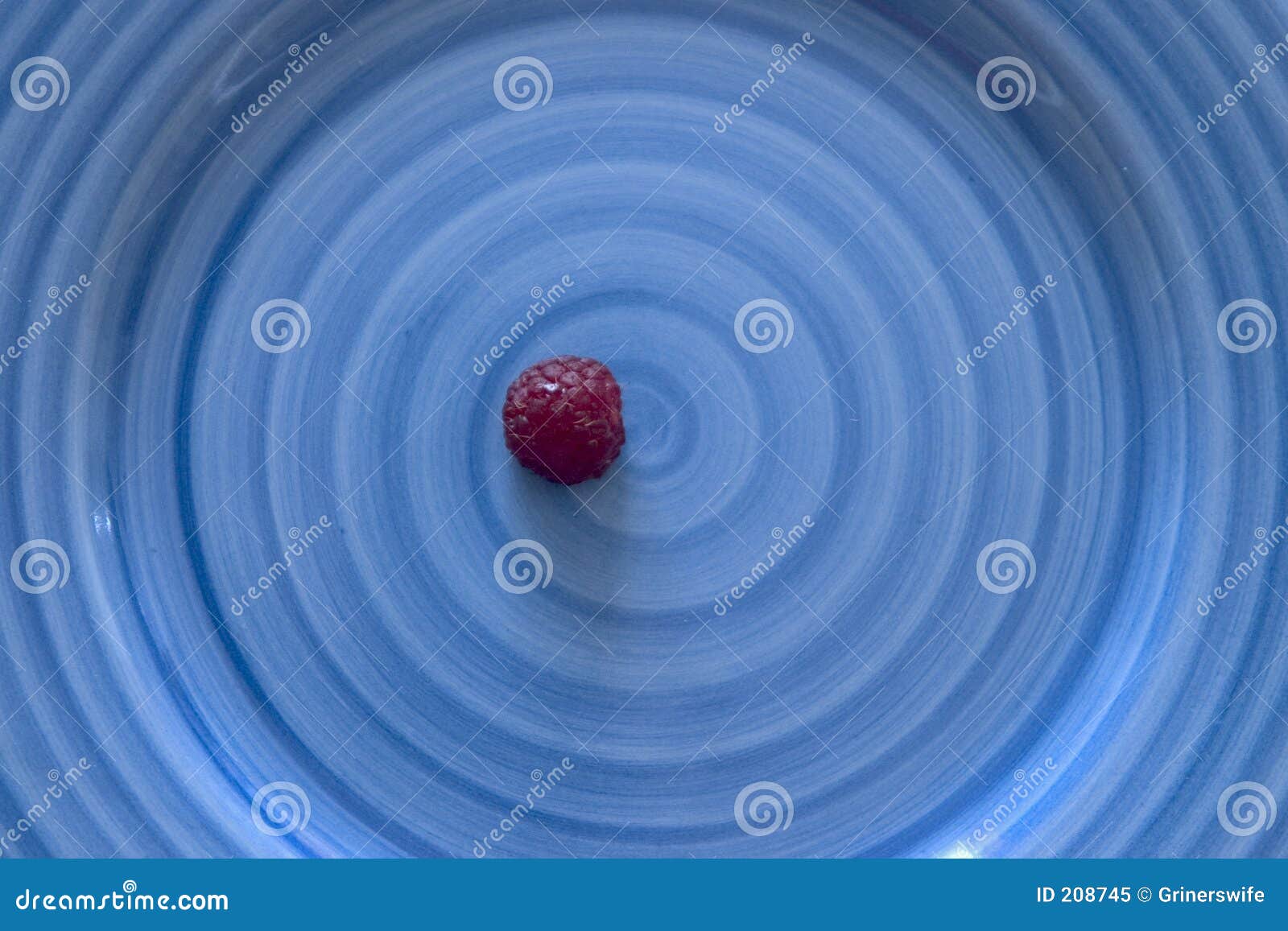 Red raspberry blue plate stock image. Image of single, food - 208745