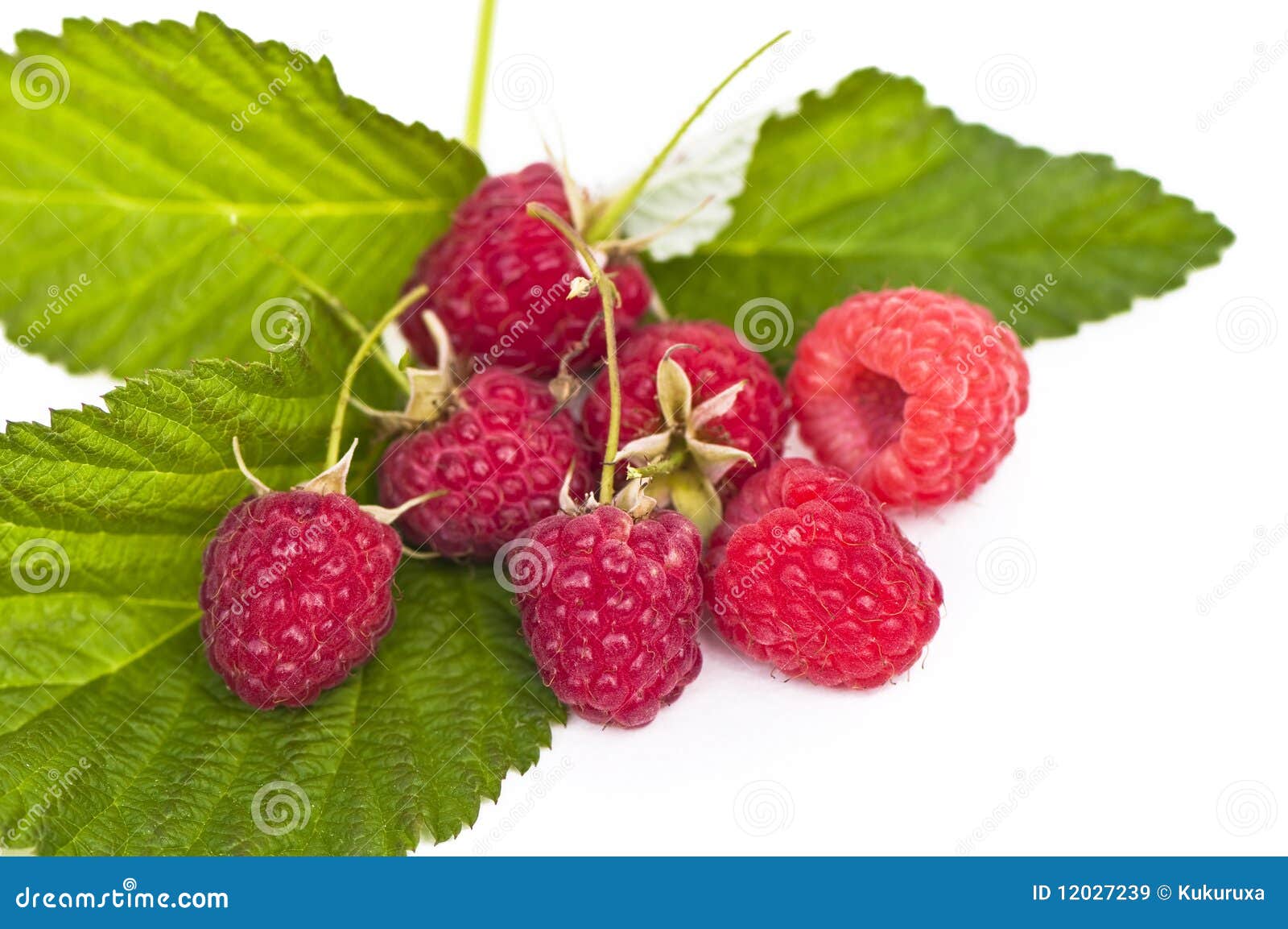 Red raspberry fruits stock image. Image of group, health - 12027239