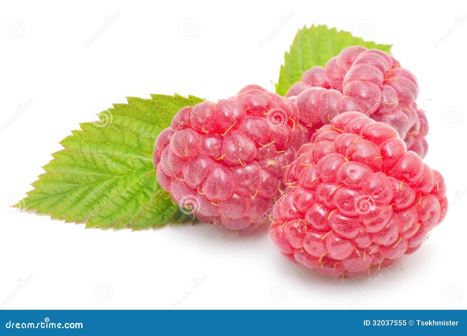 Red raspberry fruits stock image. Image of studio, closeup - 32037555