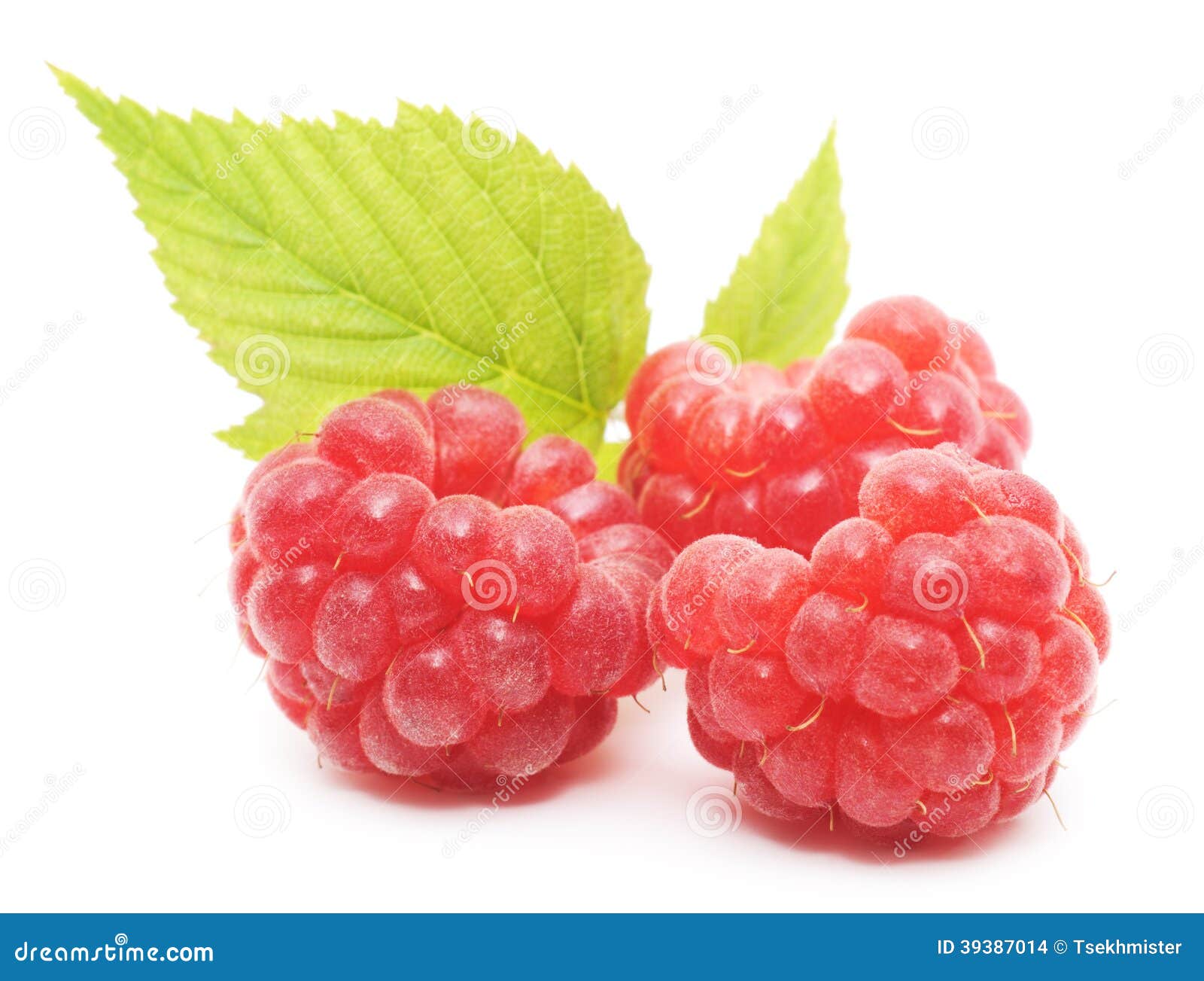 Red raspberry fruits stock photo. Image of berries, healthy - 39387014