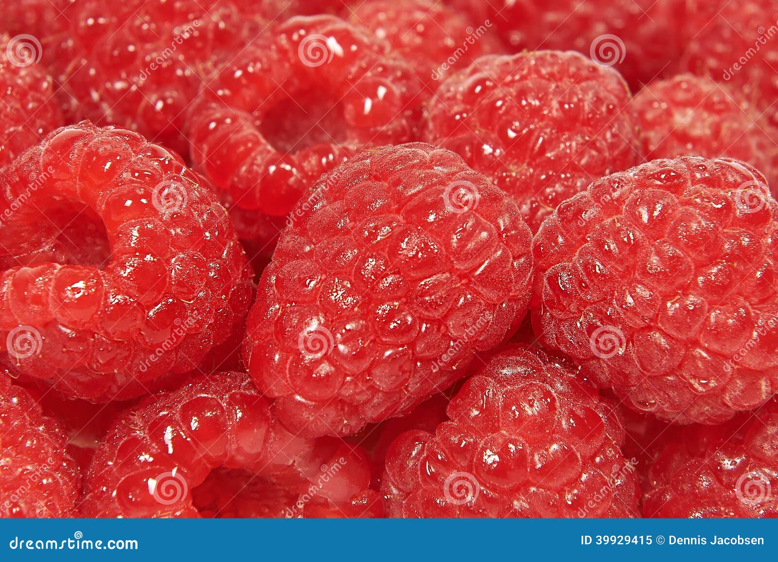 Red Raspberry (rubus Idaeus) Stock Image - Image of raspberry, health ...