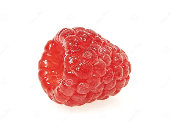 Red Raspberry (rubus Idaeus) Stock Image - Image of snack, nature: 39825545