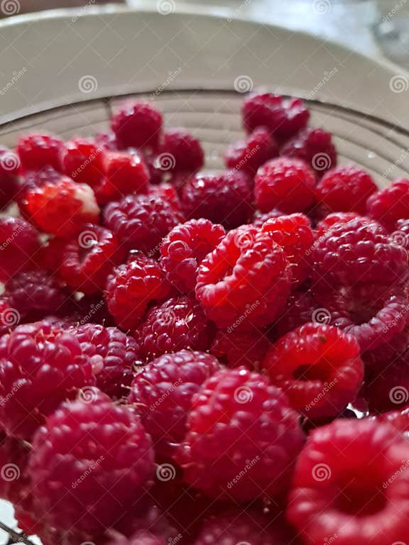 Red Raspberry,sweet Raspberry ,summer Fruit Stock Photo - Image of ...