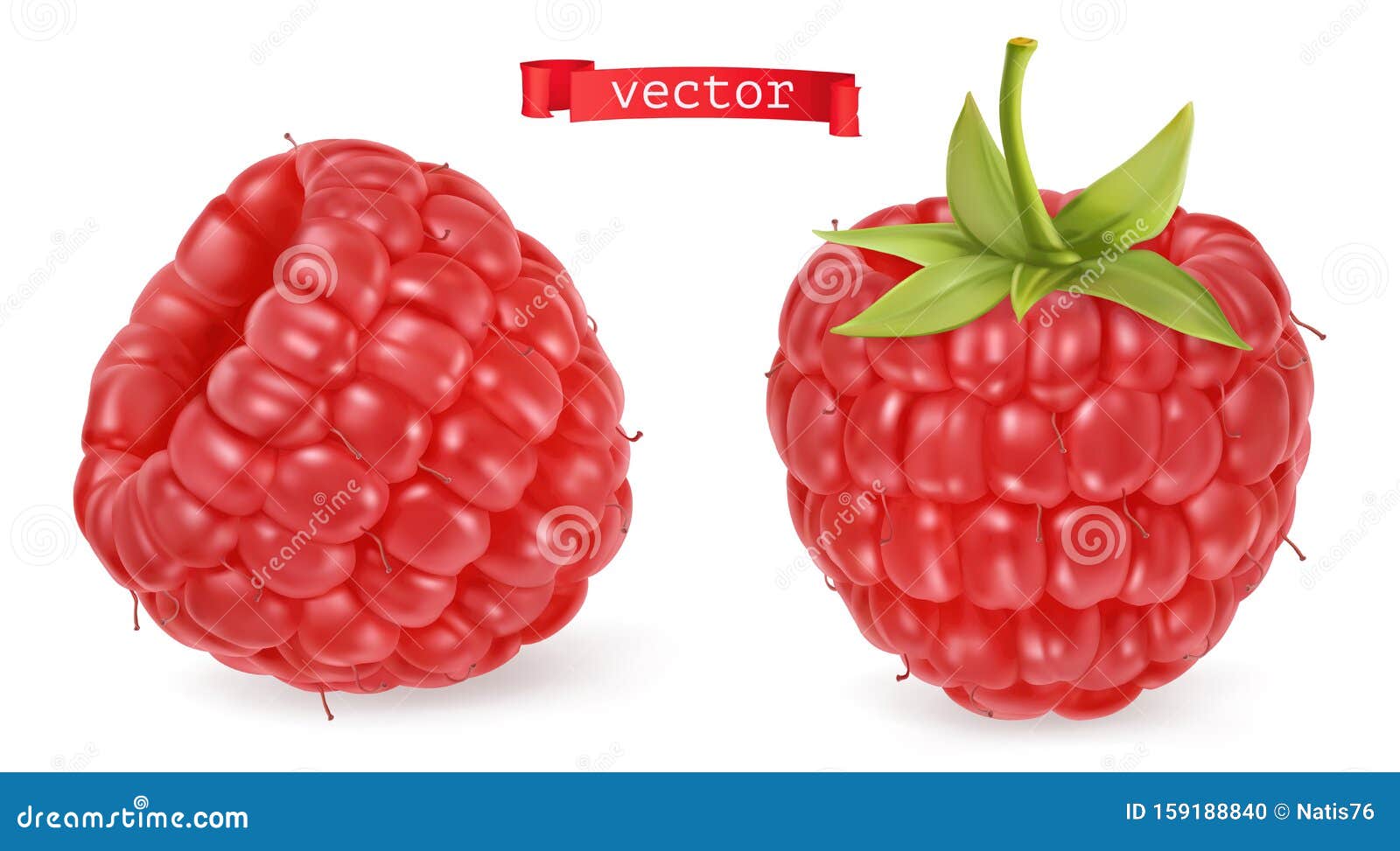 Red Raspberry Vector Stock Illustrations – 10,065 Red Raspberry Vector ...