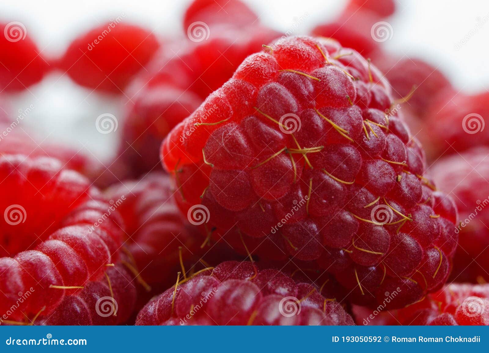 Red Raspberry on a White Background Stock Photo - Image of composition ...