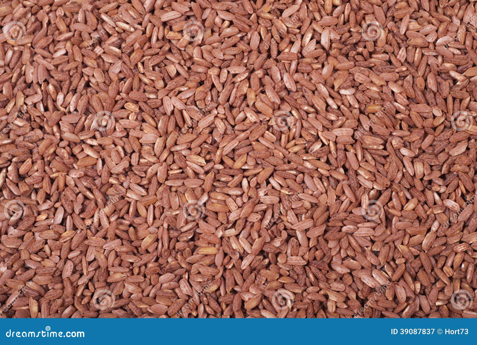 Red raw rice stock image. Image of asia, cookery, central - 39087837
