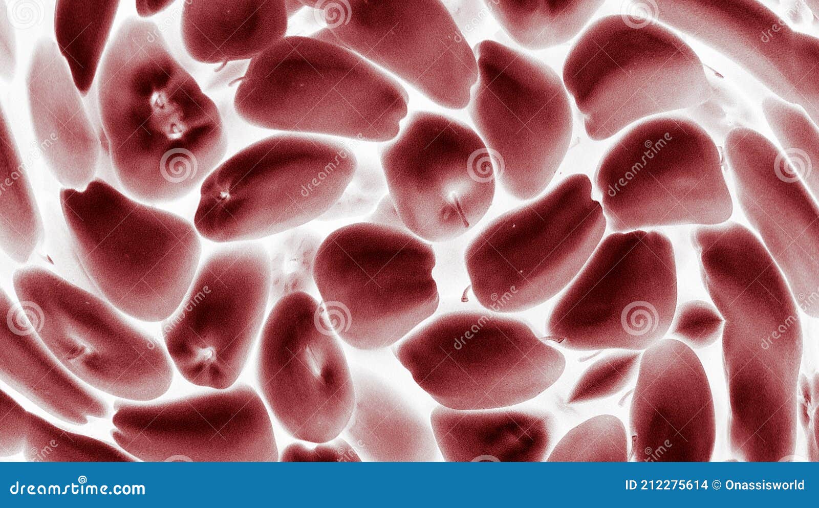 Red X-ray Apples Abstract Background Stock Illustration - Illustration ...