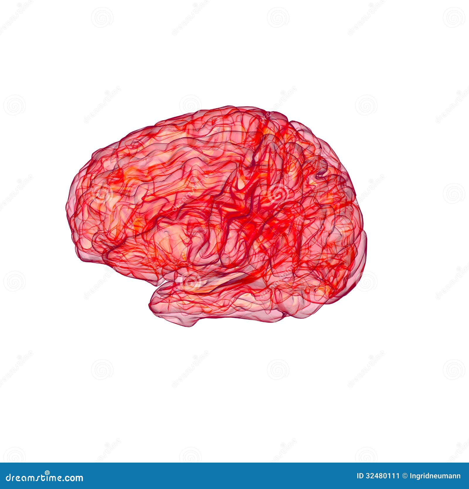 Red x-ray of human brain stock illustration. Illustration of matter ...