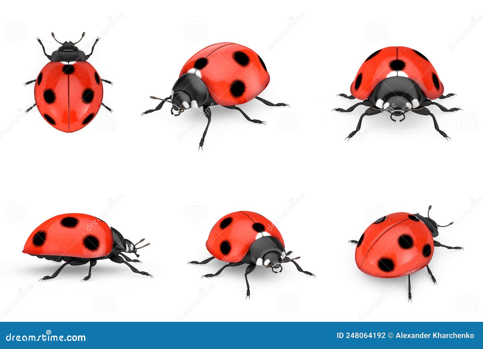 Red Realistic Beautiful Ladybird. 3d Rendering Stock Illustration ...