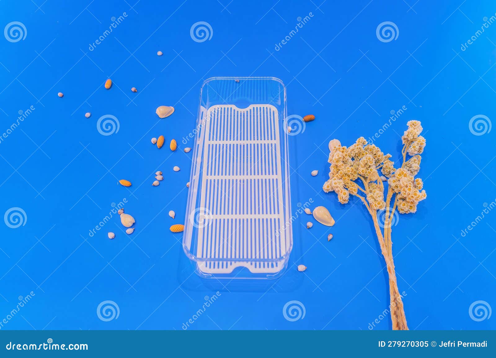 Red Rectangular Container for Storing Meat and Fish Stock Image - Image ...