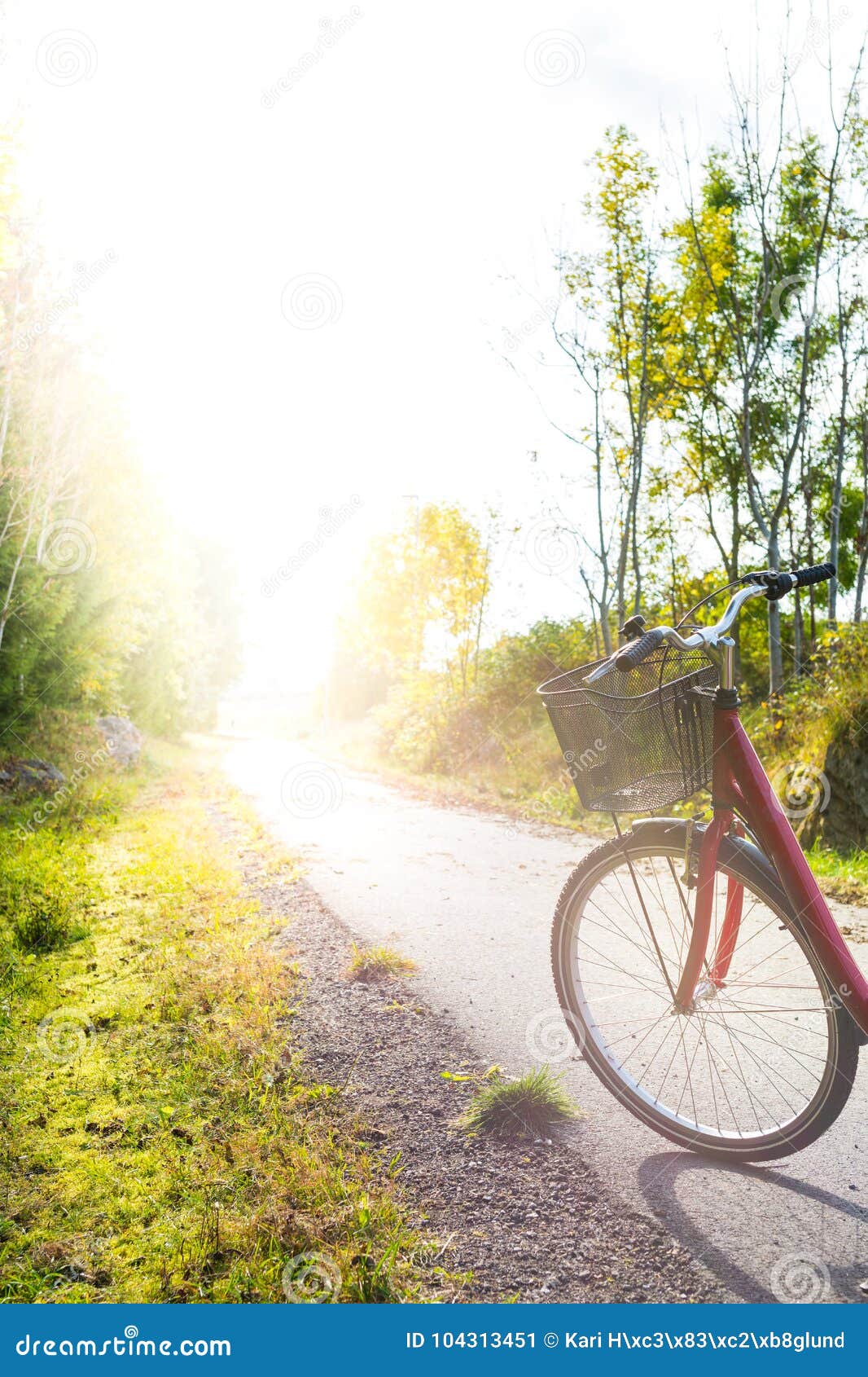 Red Retro Bike on a Cycle Path with Sunlight Stock Image - Image of ...