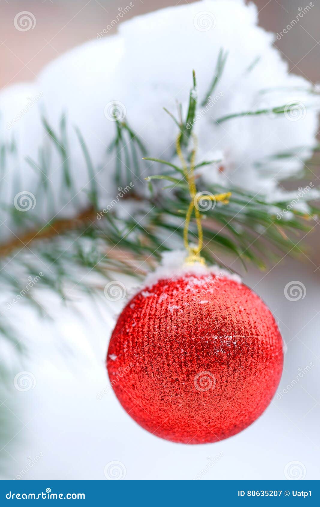 Red Ribbon on the Christmas Tree Stock Image - Image of ornate, tree ...