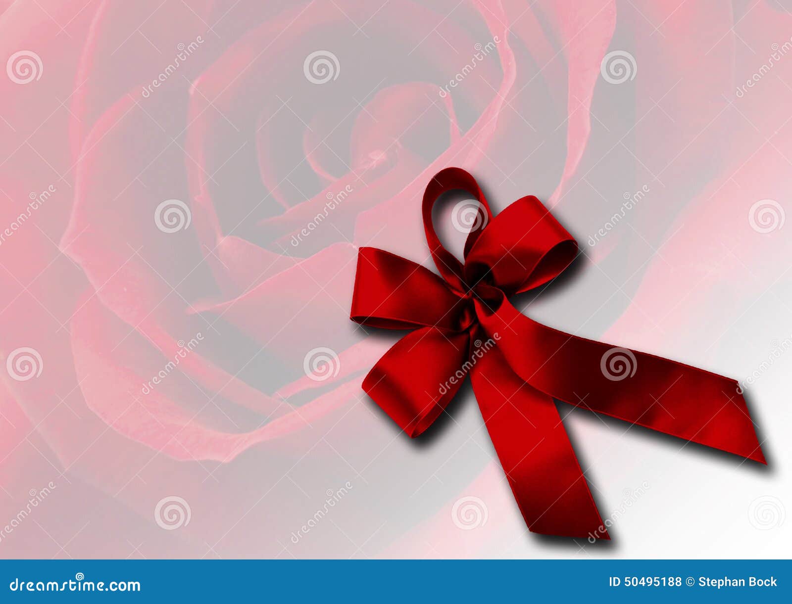 Red Ribbon on Rose Flower Background Stock Photo - Image of valentines ...