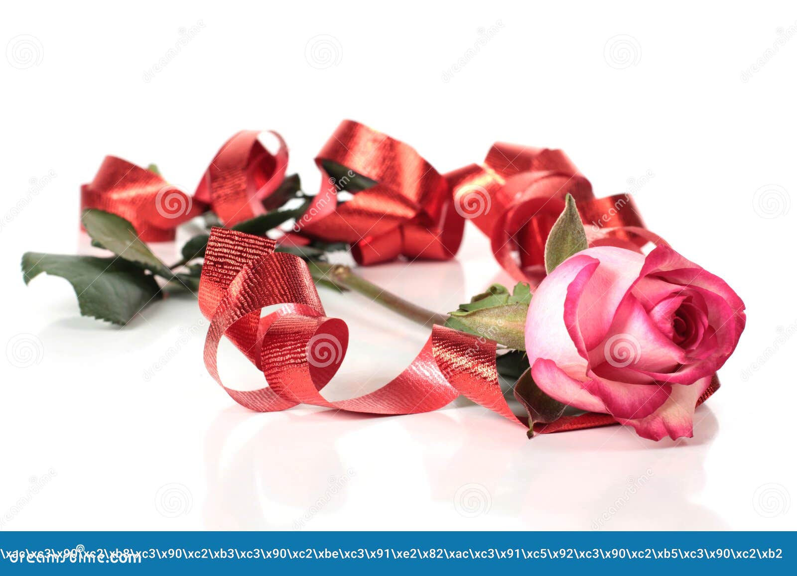 Red ribbon and roses stock photo. Image of symbol, marriage - 29596192