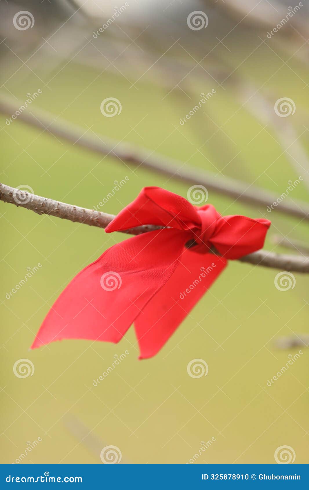 A Red Ribbon is Tied To a Tree Branch Stock Photo - Image of texture ...