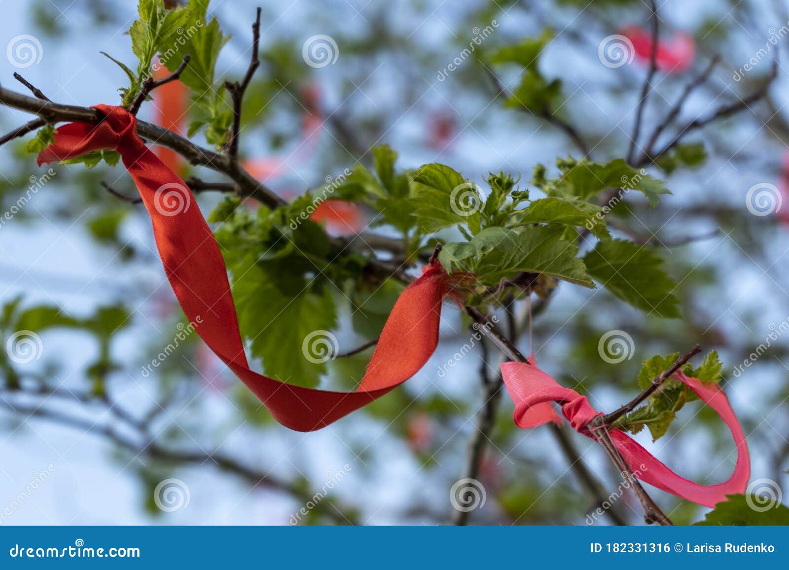 Red Ribbons on the Wish Tree Stock Photo - Image of beautiful, garden ...
