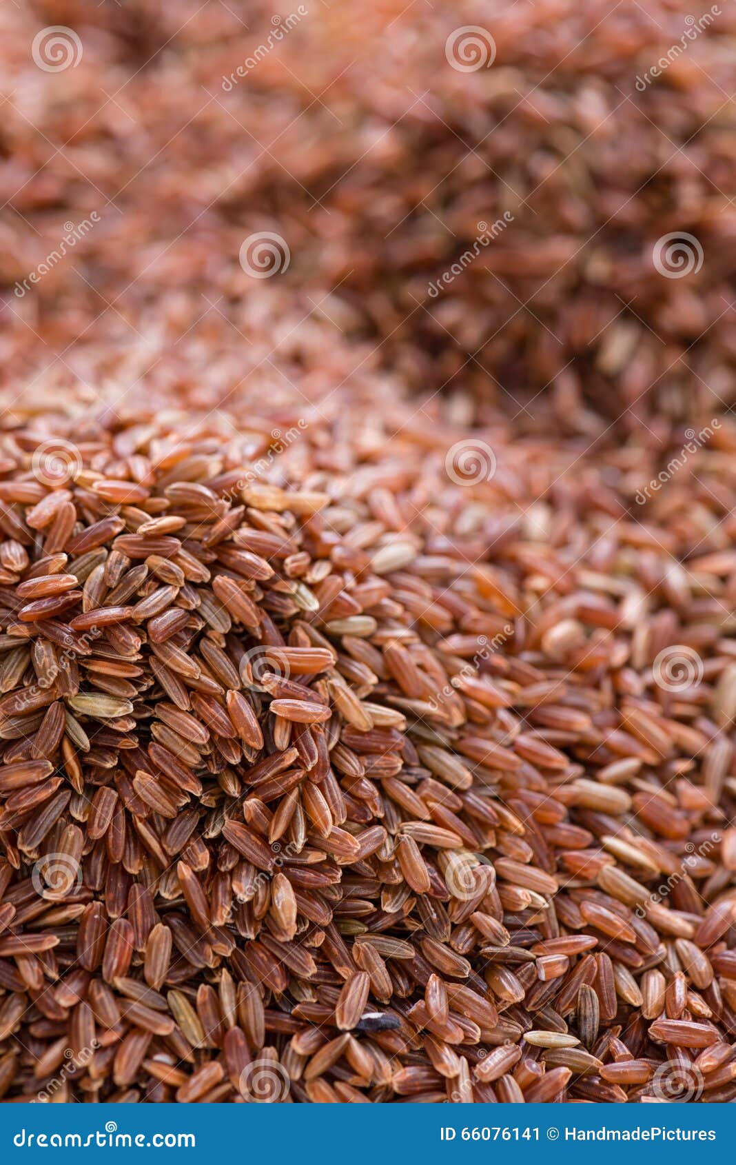 Red Rice background image stock image. Image of asia - 66076141
