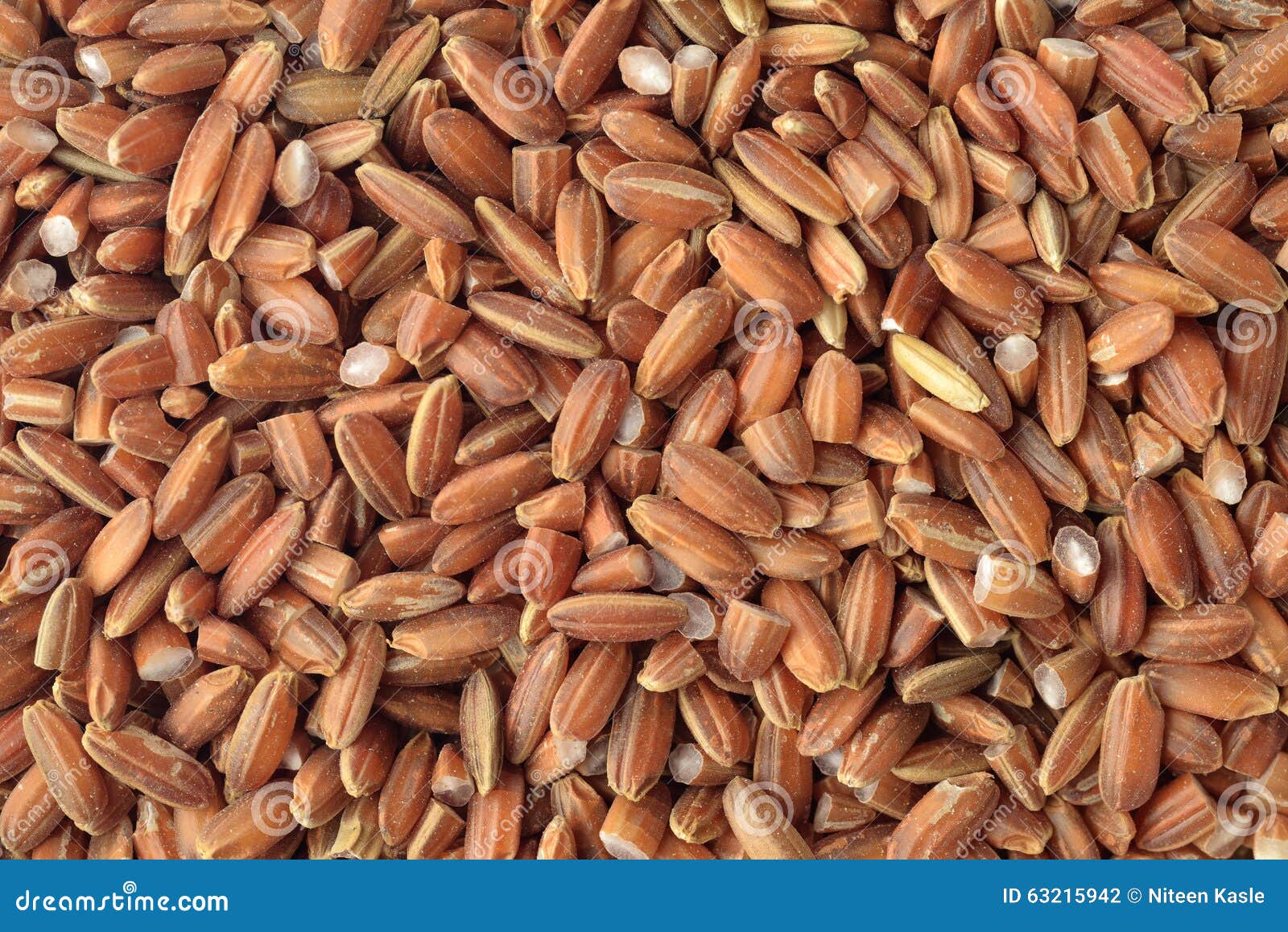 Red Rice Grain stock photo. Image of rice, resolution - 63215942