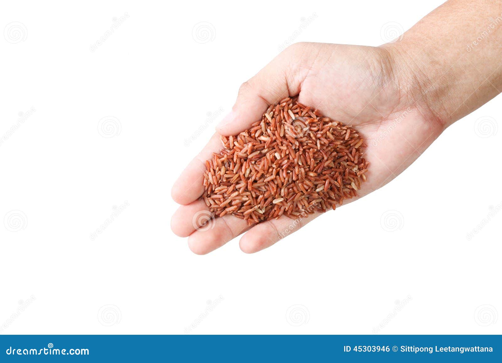 Red rice in hand stock photo. Image of culture, white - 45303946