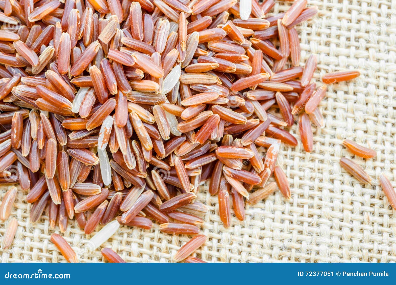 Red rice on sack. stock image. Image of chinese, asian - 72377051