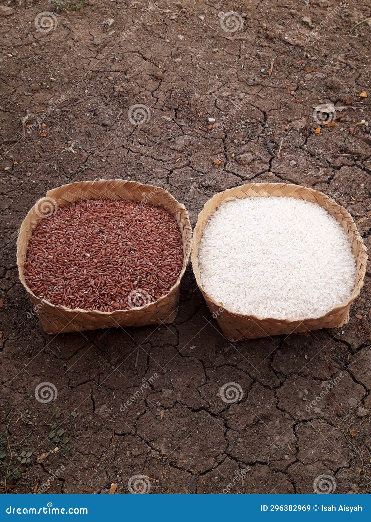 Red Rice and White Rice in Bamboo Container Stock Image - Image of rice ...