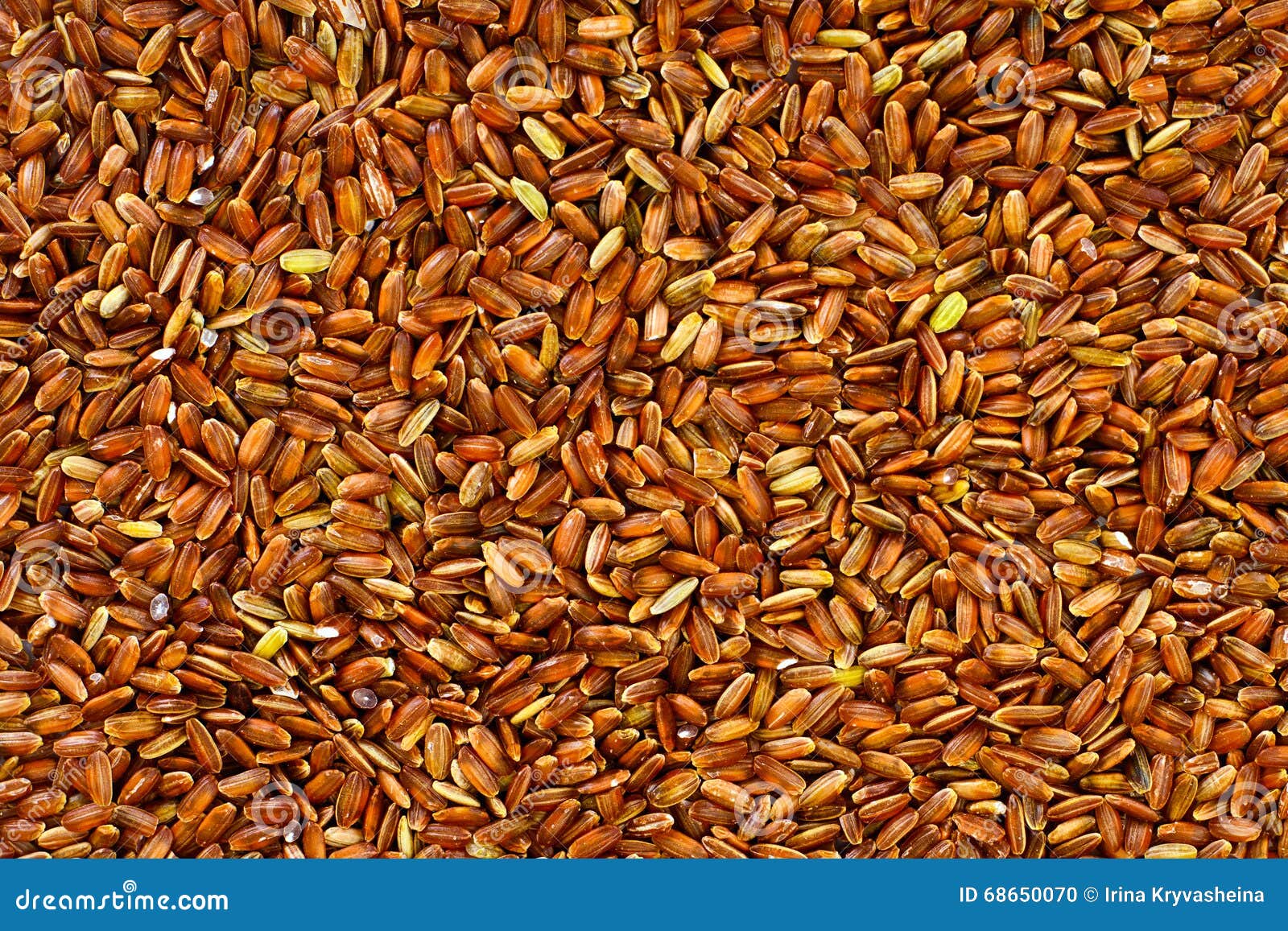 Red Rice Whole Grains stock photo. Image of kasha, seed - 68650070