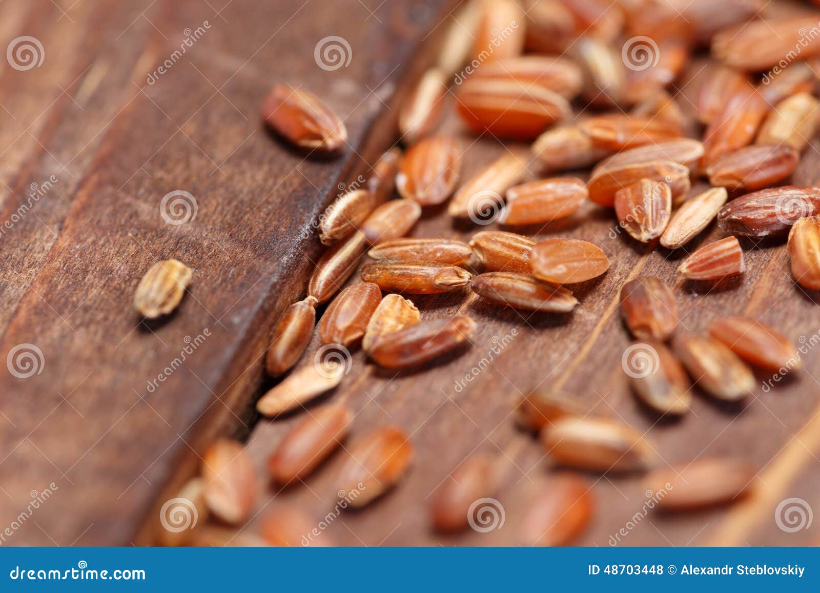 Red rice stock photo. Image of energy, asia, agriculture - 48703448