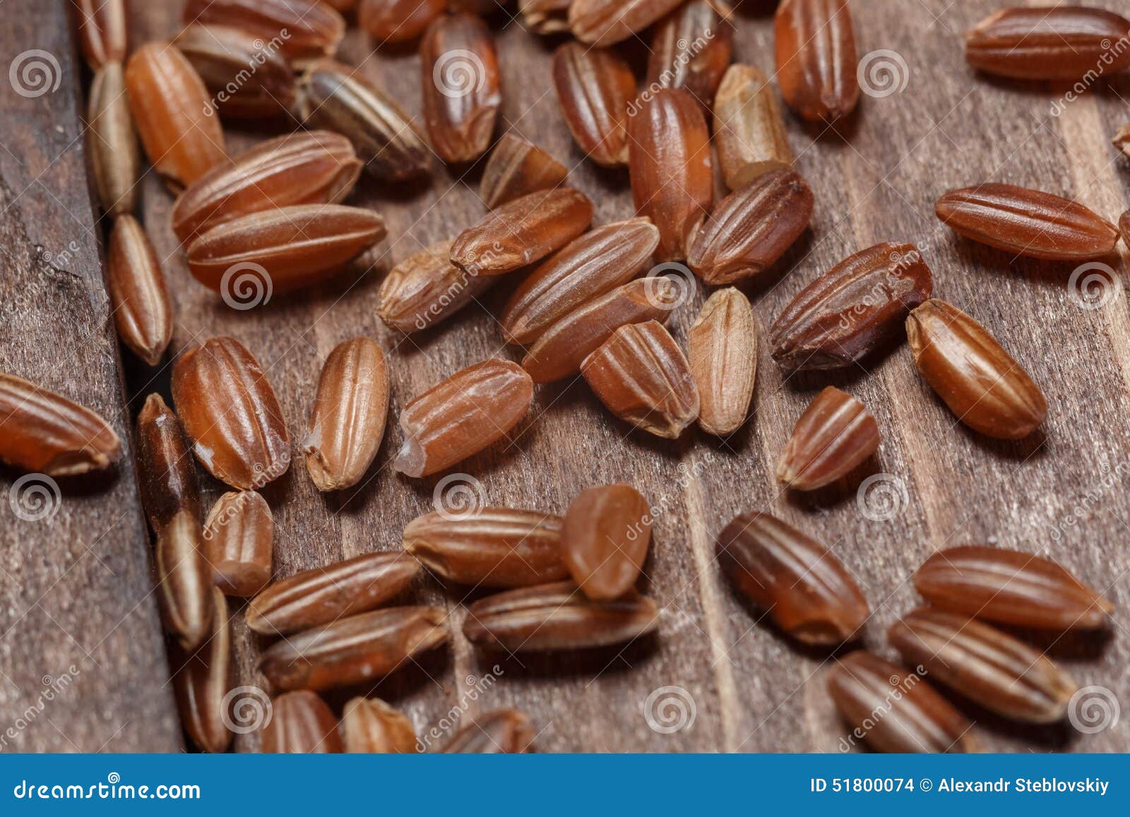 Red rice stock photo. Image of seed, brown, grained, organic - 51800074