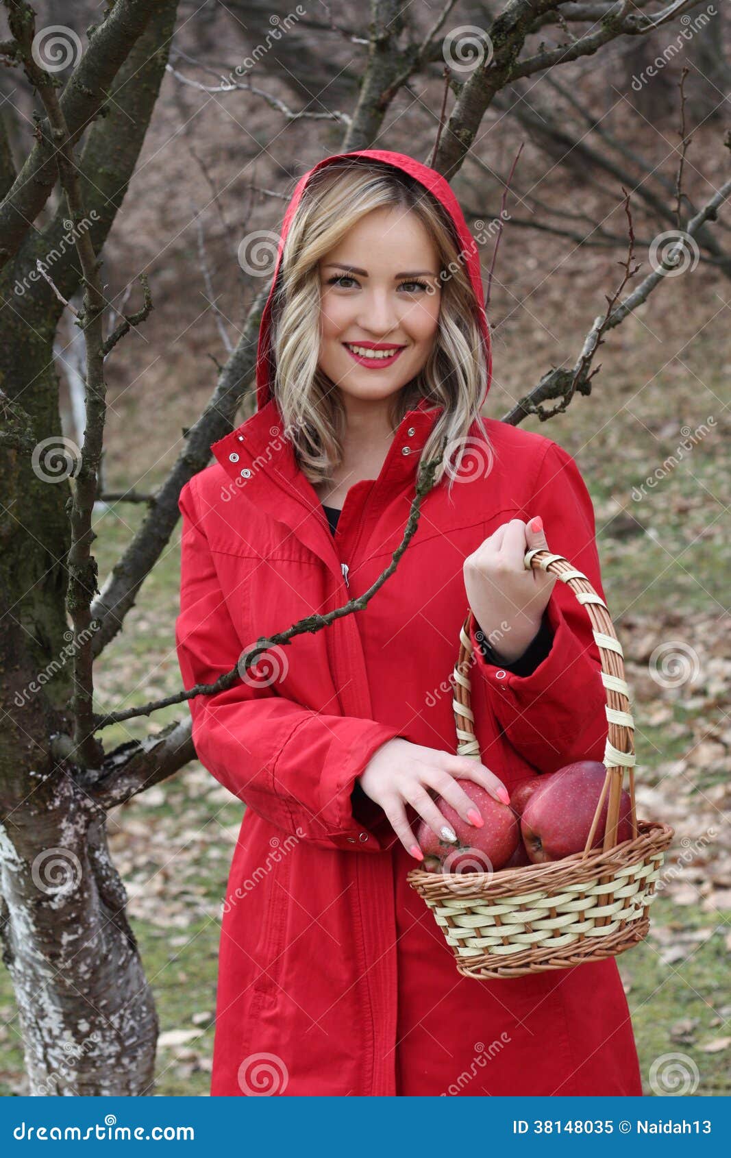 Red riding hood stock image. Image of hood, woods, color - 38148035