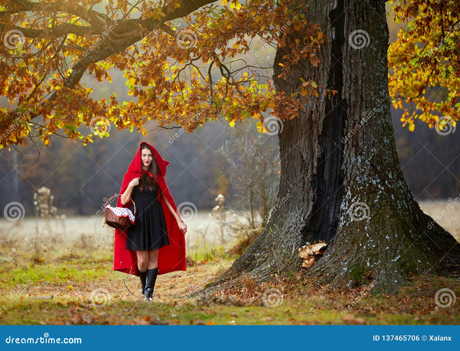 Red Riding Hood in the Forest Stock Photo - Image of people, fiction ...