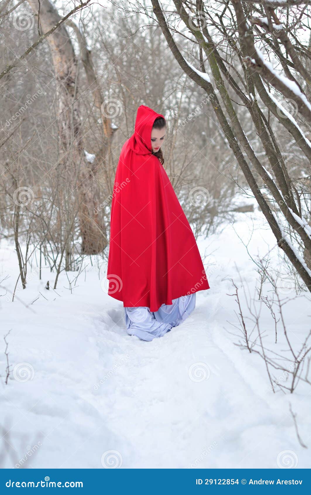 Red Riding Hood in the Winter Forest Stock Photo - Image of sneak, tale ...