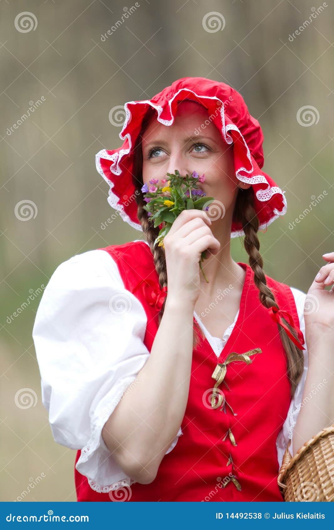 Red Riding Hood in the Wood Stock Photo - Image of food, forest: 14492538