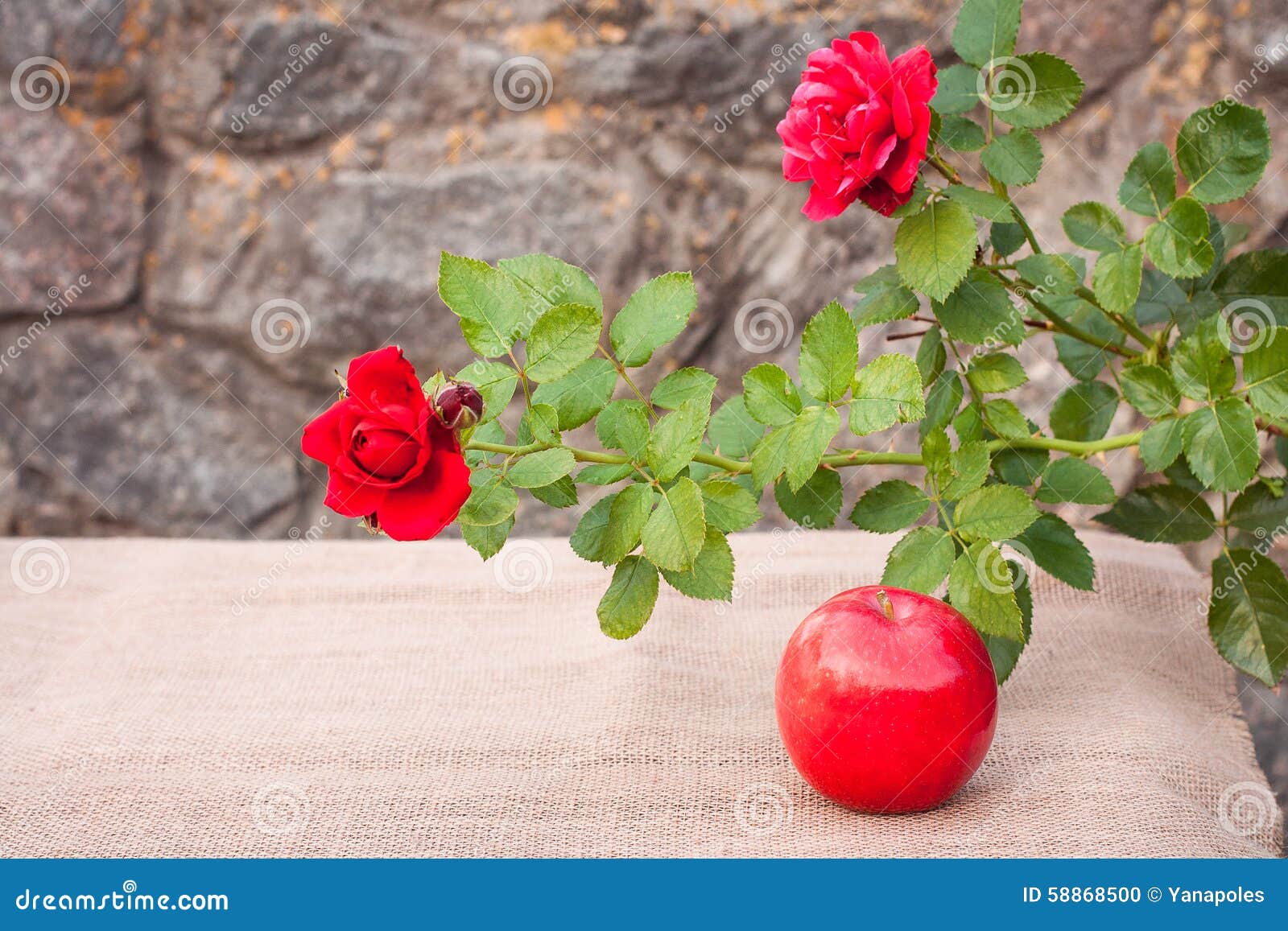 Red ripe apple and roses stock photo. Image of fresh - 58868500