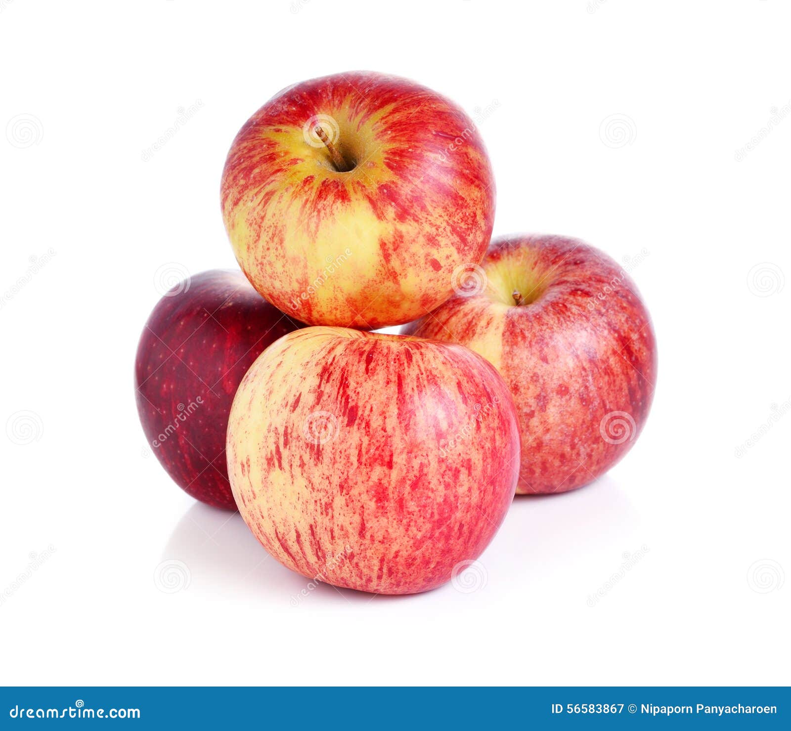 Red ripe apple stock image. Image of vegetarian, agriculture - 56583867