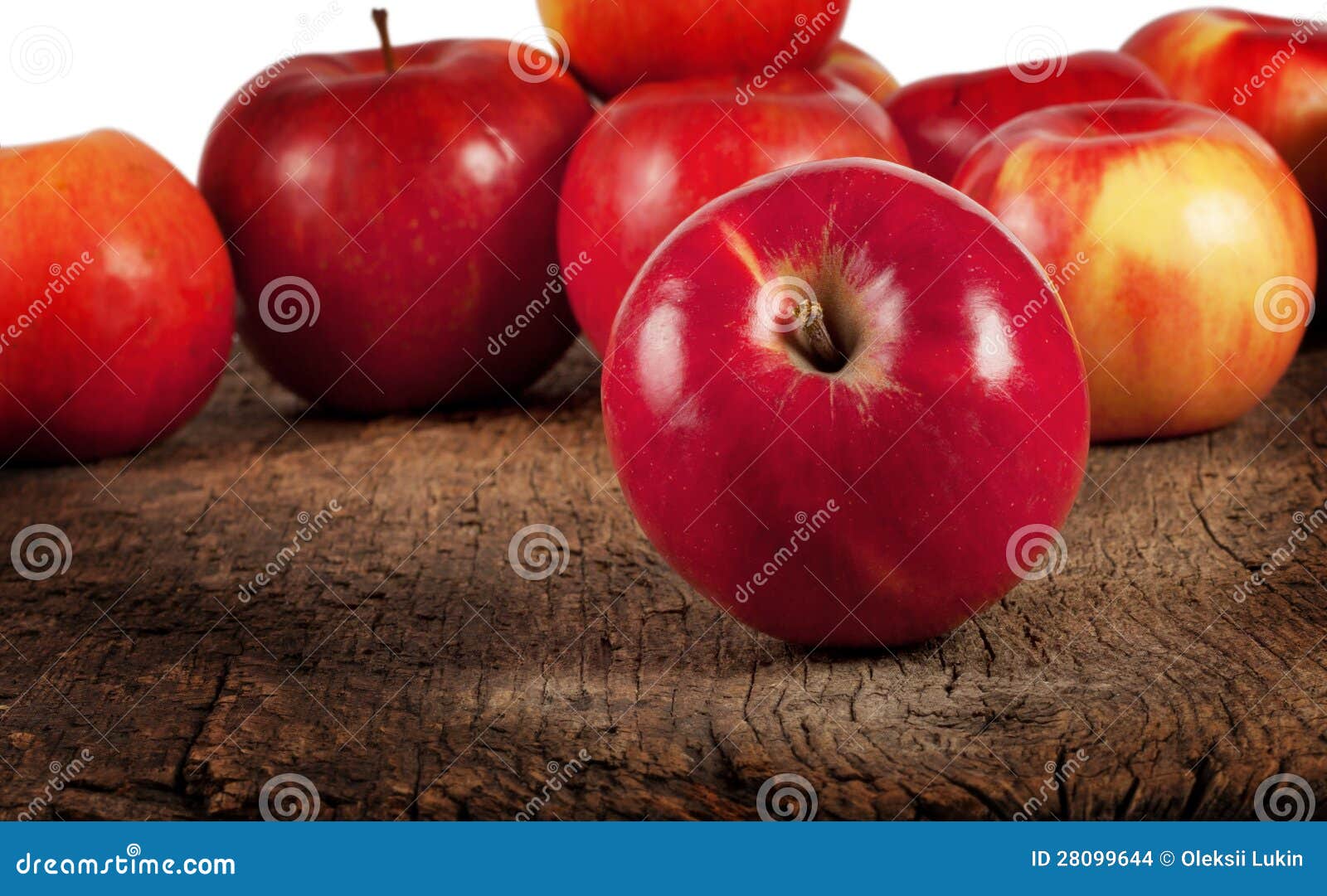 Red ripe apples stock photo. Image of weight, ripe, green - 28099644