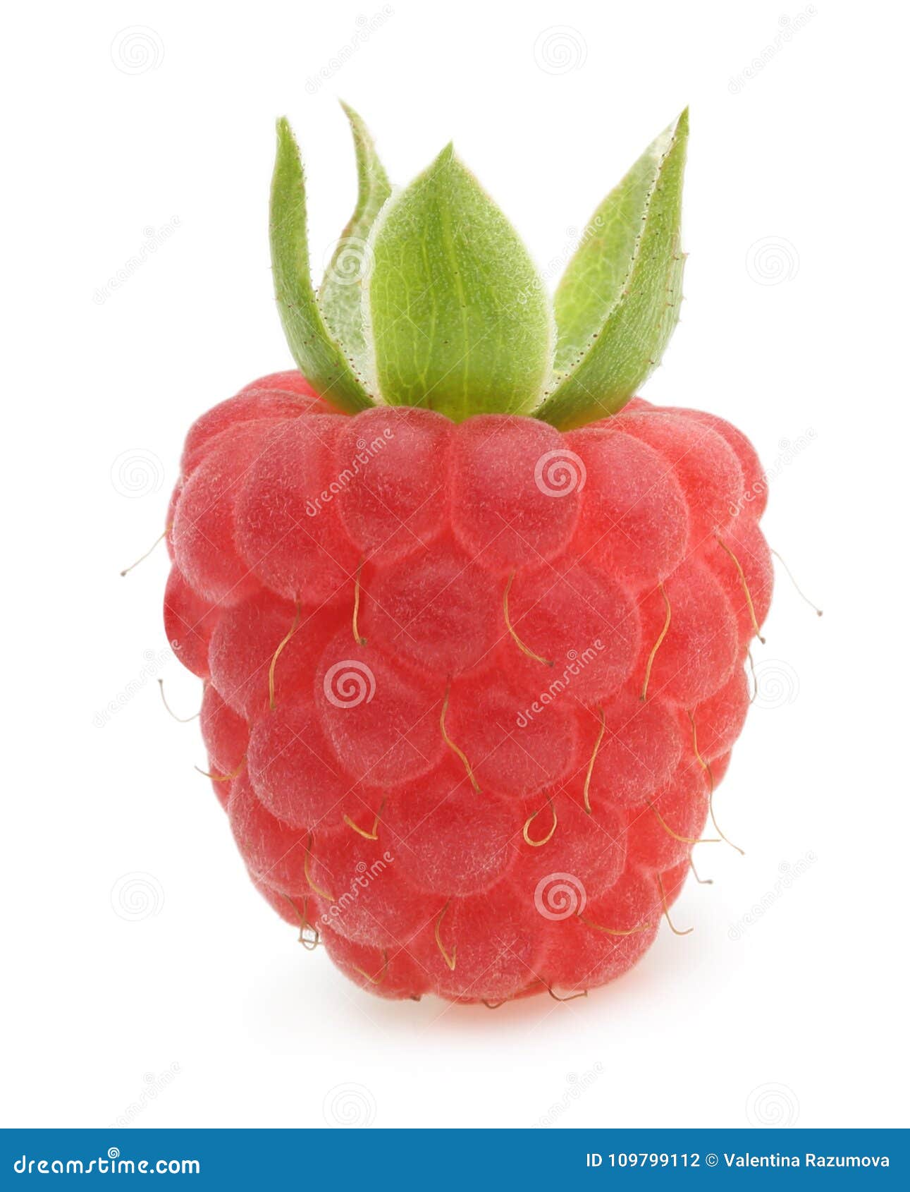 Red Berry Raspberry Isolated Stock Photo - Image of white, raspberry ...