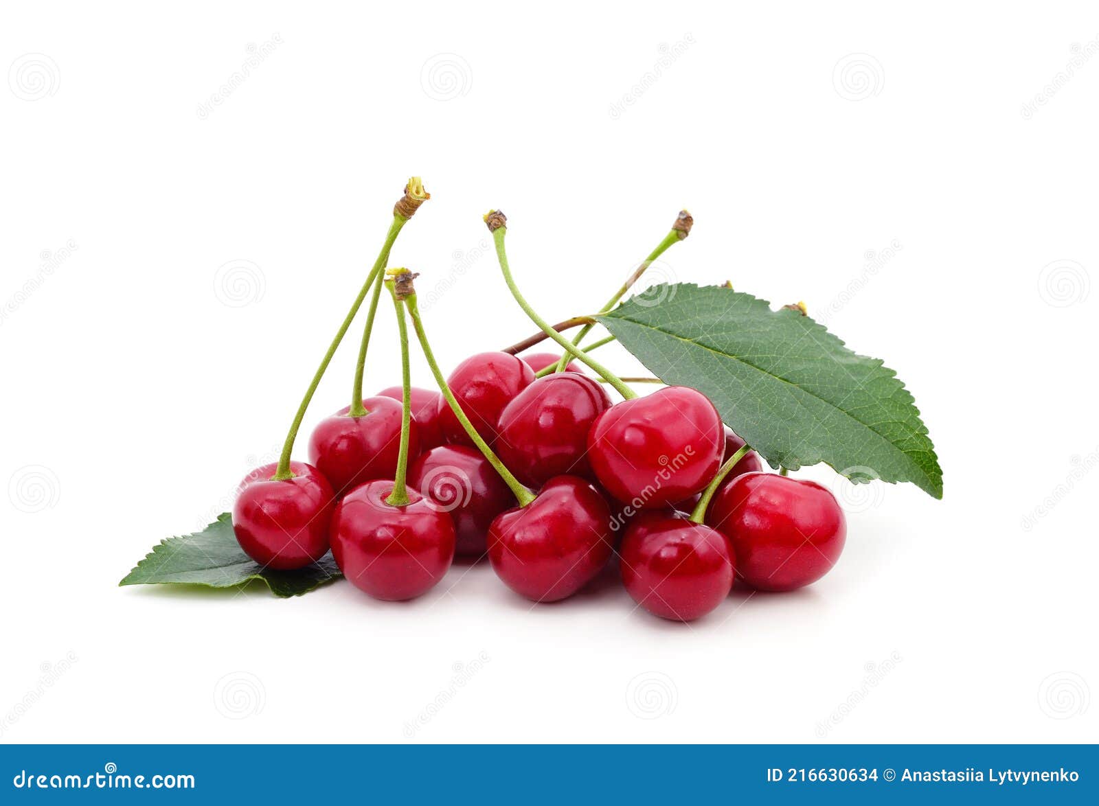 Red Ripe Cherries with Leaves Stock Photo - Image of juicy, green ...