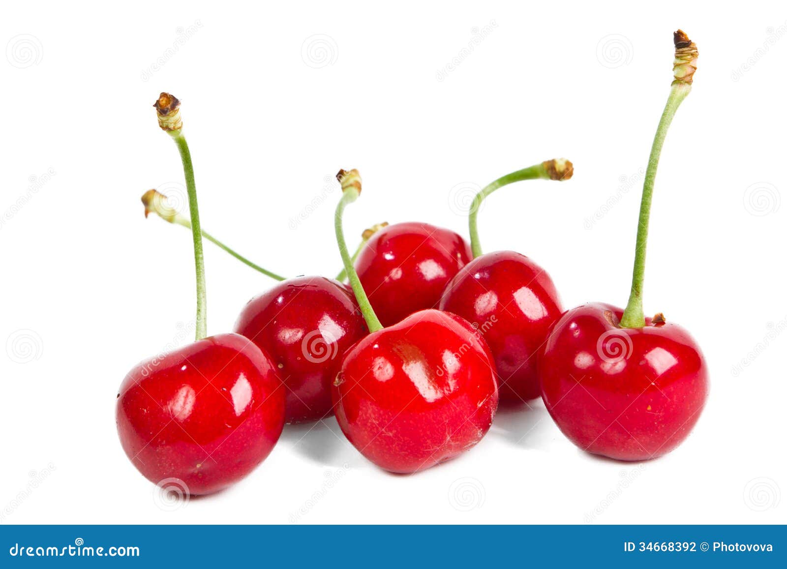 Red ripe cherries stock photo. Image of leaf, food, cherries - 34668392