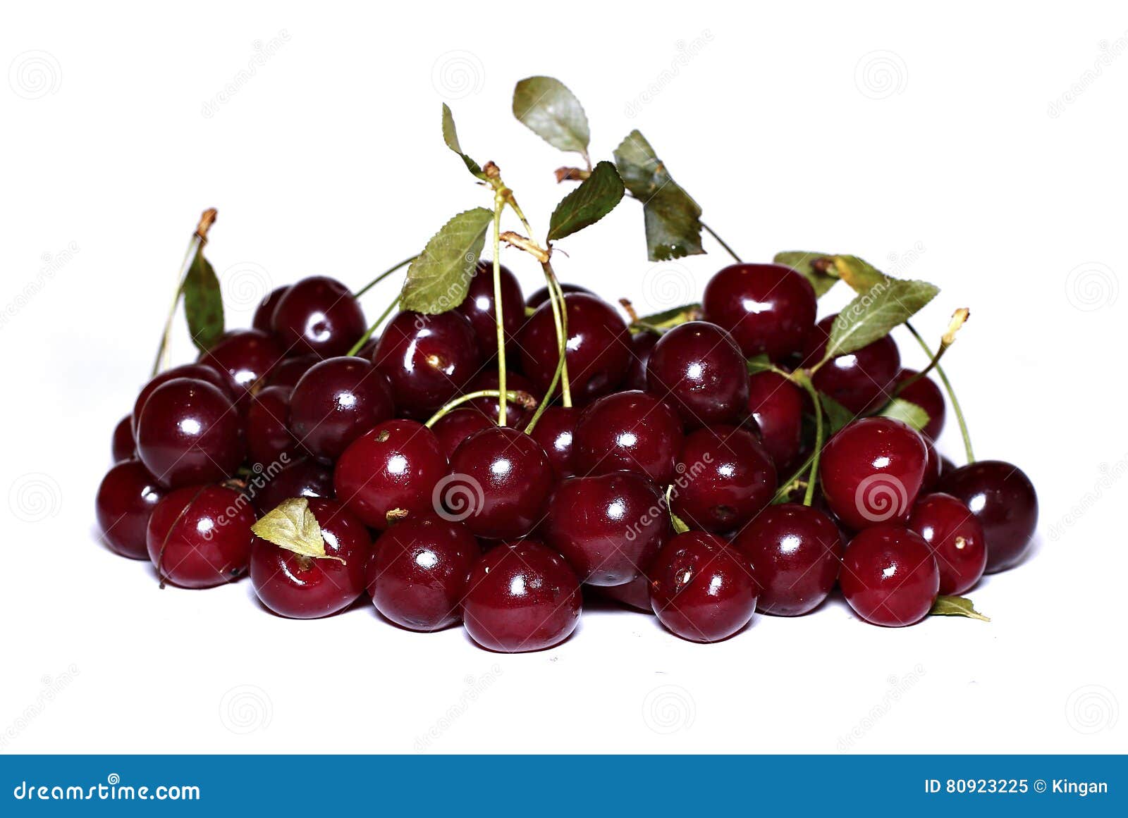 Red Ripe Cherry Berries Isolated Stock Image - Image of stalk, isolated ...