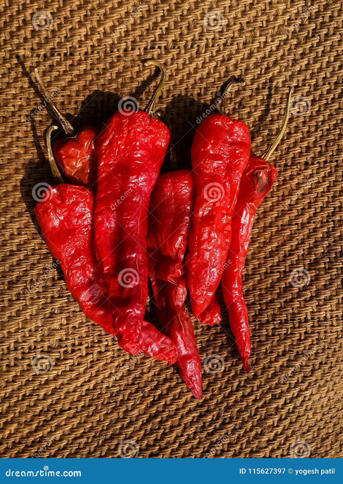 Chilli stock image. Image of dried, selective, drying - 115627397