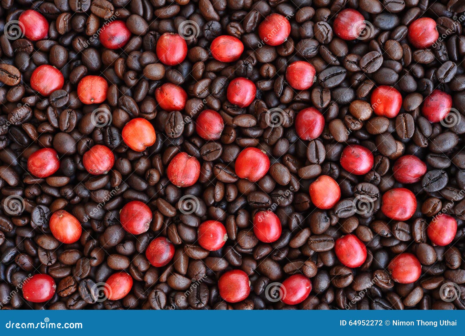 Red Ripe Coffee on Coffee Beans Stock Photo - Image of closeup, gourmet ...