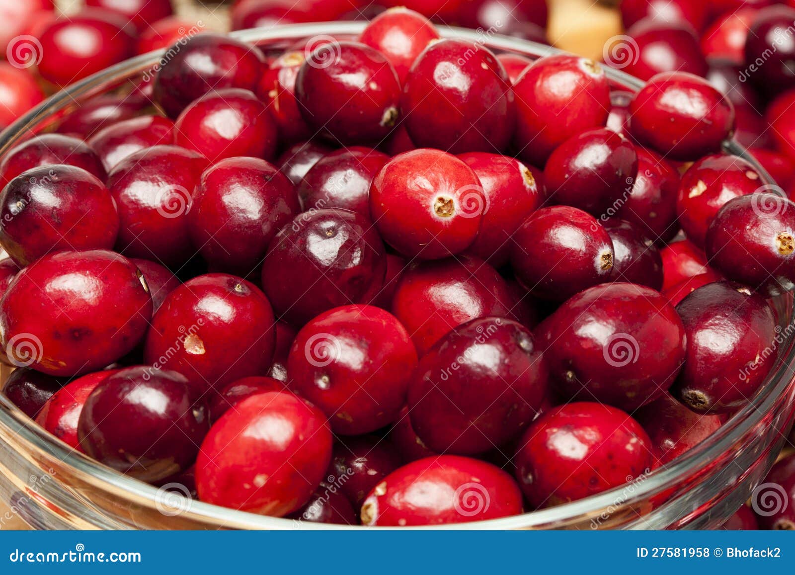 Red Ripe Cranberry stock photo. Image of food, winter - 27581958