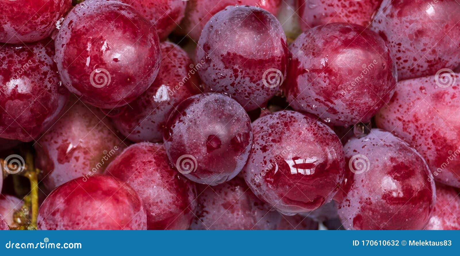 Red Ripe Grape Berries Closeup Stock Photo - Image of cluster, branch ...