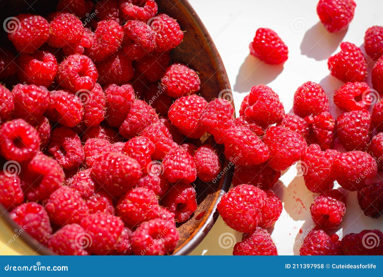 Red Ripe and Juicy Raspberry in an Inverted Small Bowl Stock Photo ...