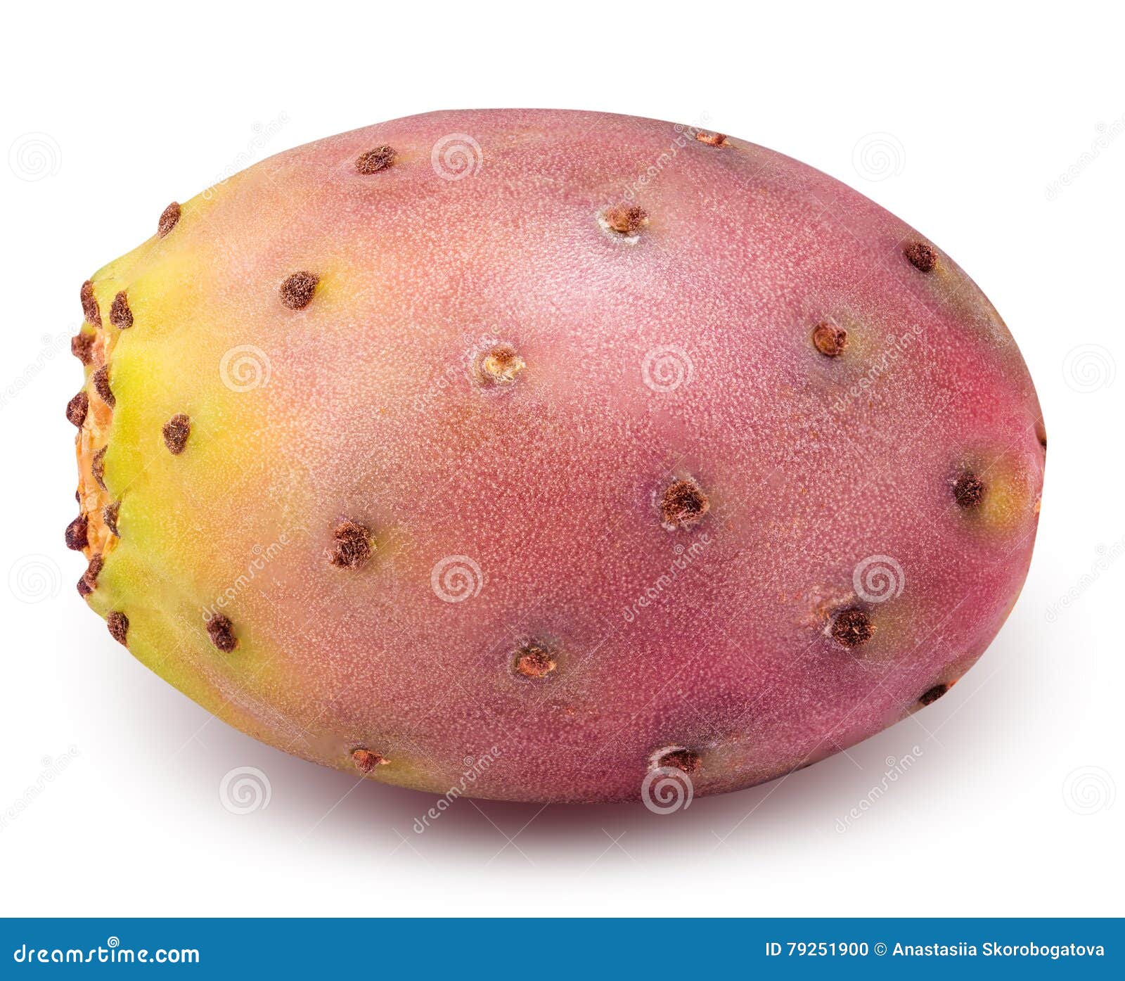 Red Ripe Opuntia Isolated on White Background Stock Photo - Image of ...