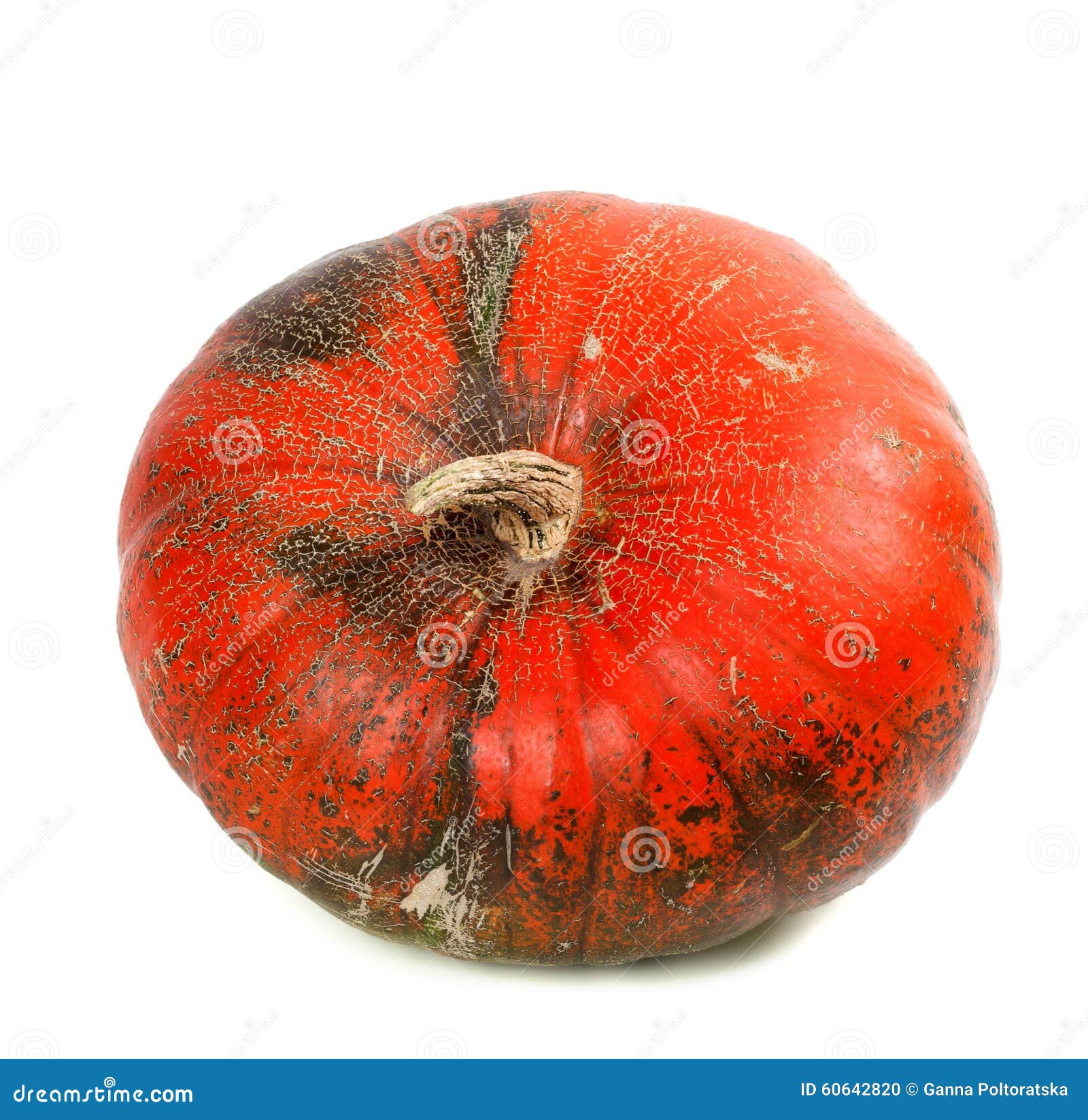 Red ripe pumpkin stock photo. Image of edible, fresh - 60642820