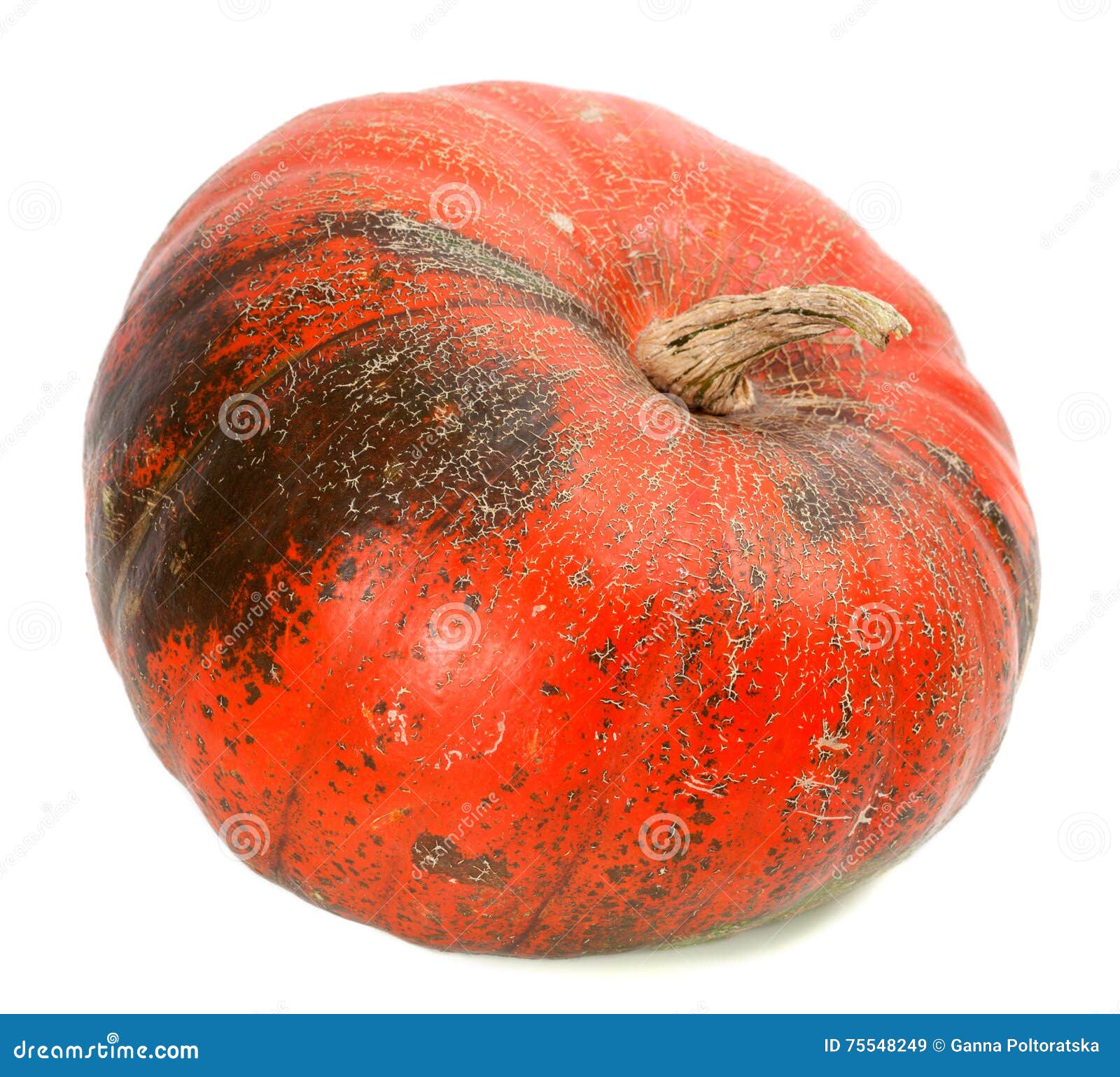 Red ripe pumpkin stock image. Image of culinary, edible - 75548249