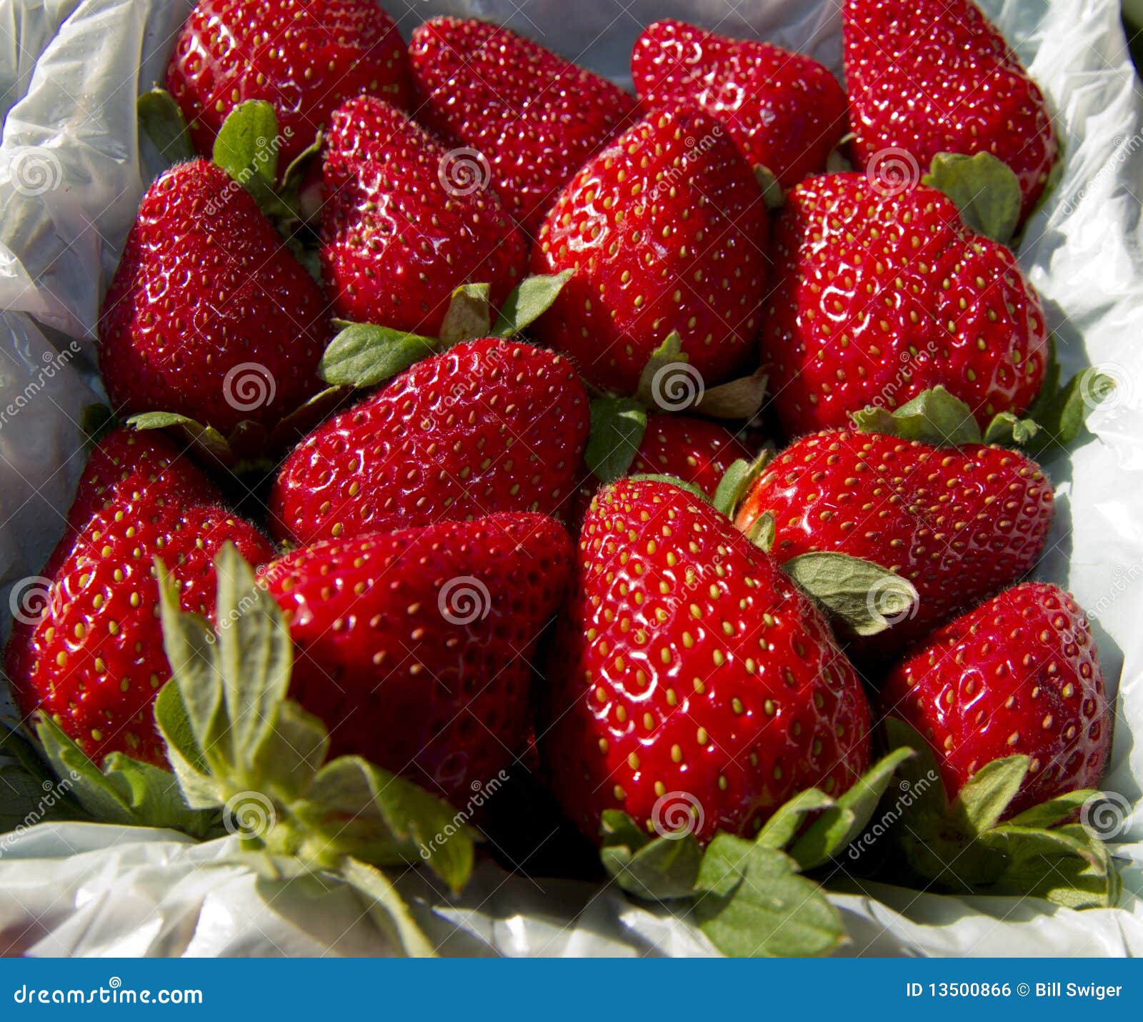 Red Ripe Strawberries stock photo. Image of seller, sale - 13500866