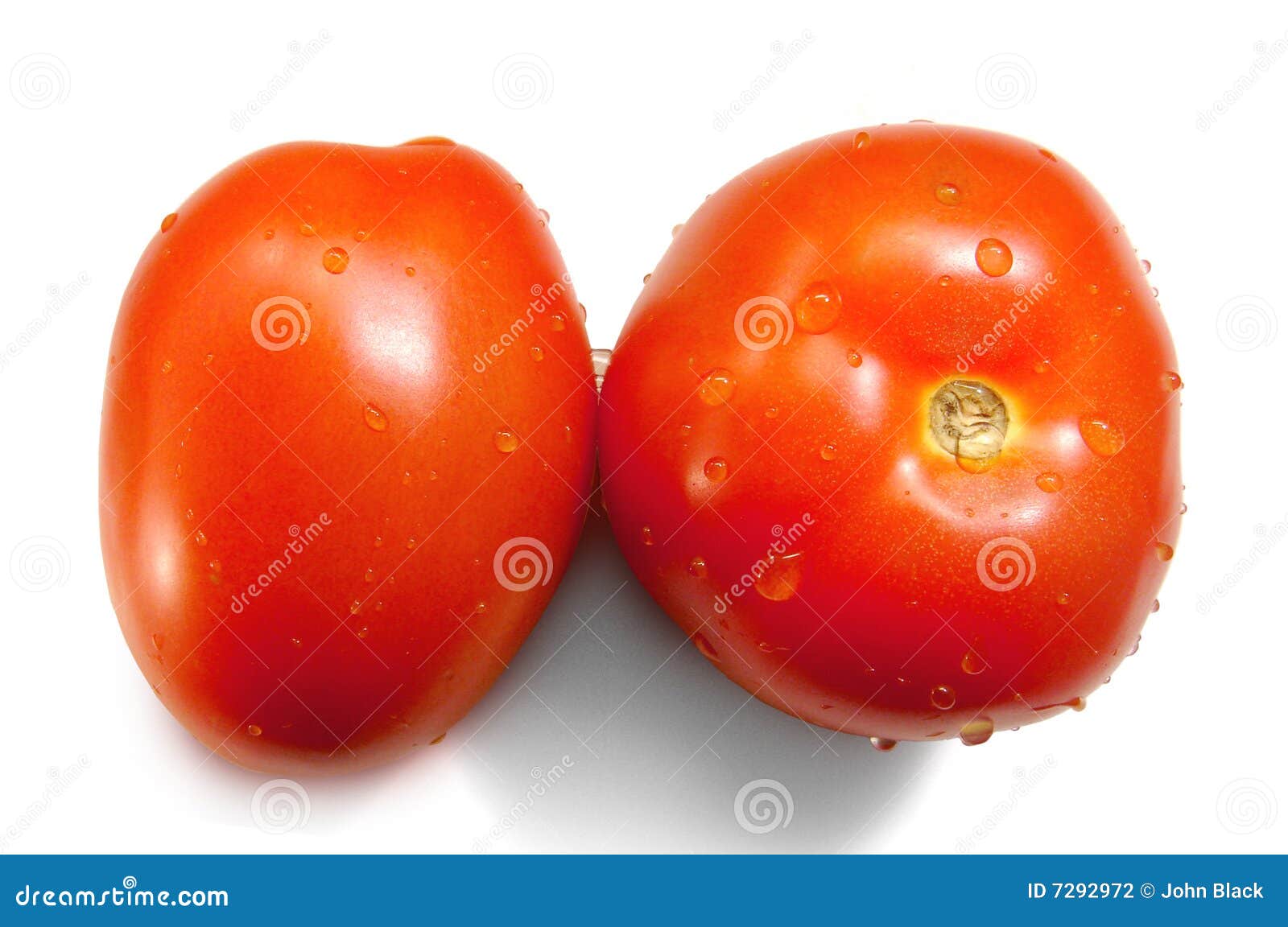 Red Ripe Tomatoes stock photo. Image of juicy, cook, food - 7292972